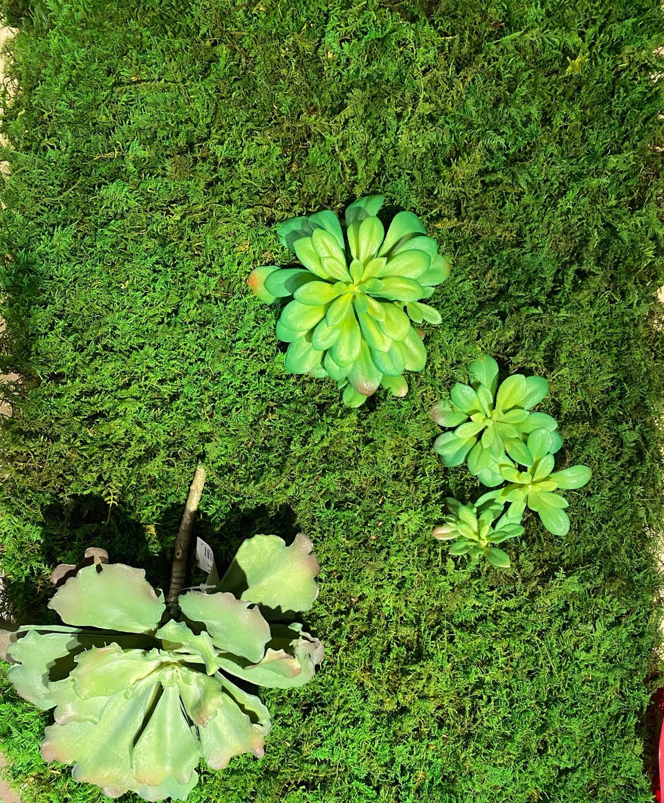 Design - SA Greenery